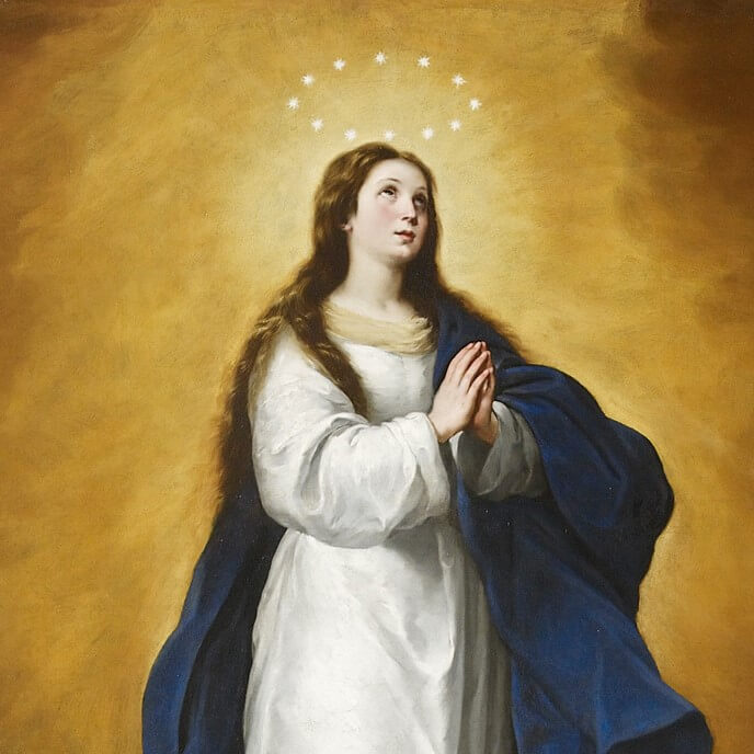 Why is it important that Mary was immaculately conceived in her mother