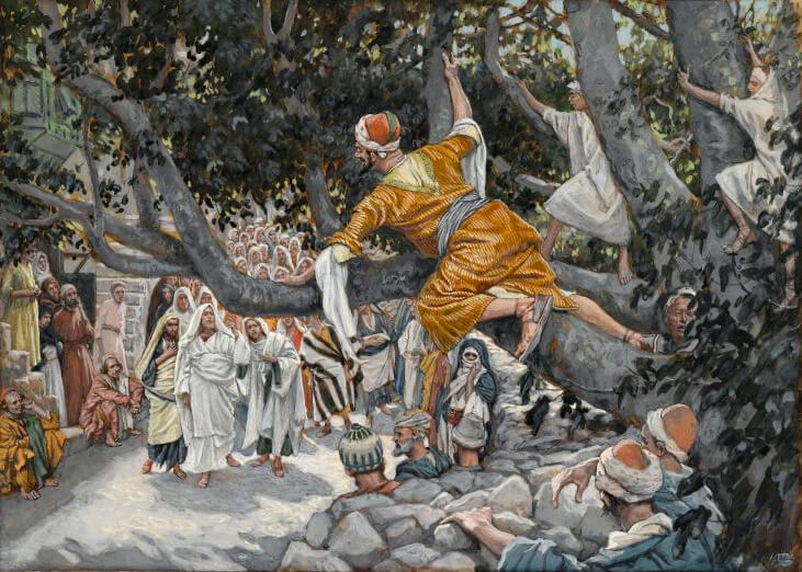 Why did Zacchaeus climb the sycamore tree? | The Catholic Company®
