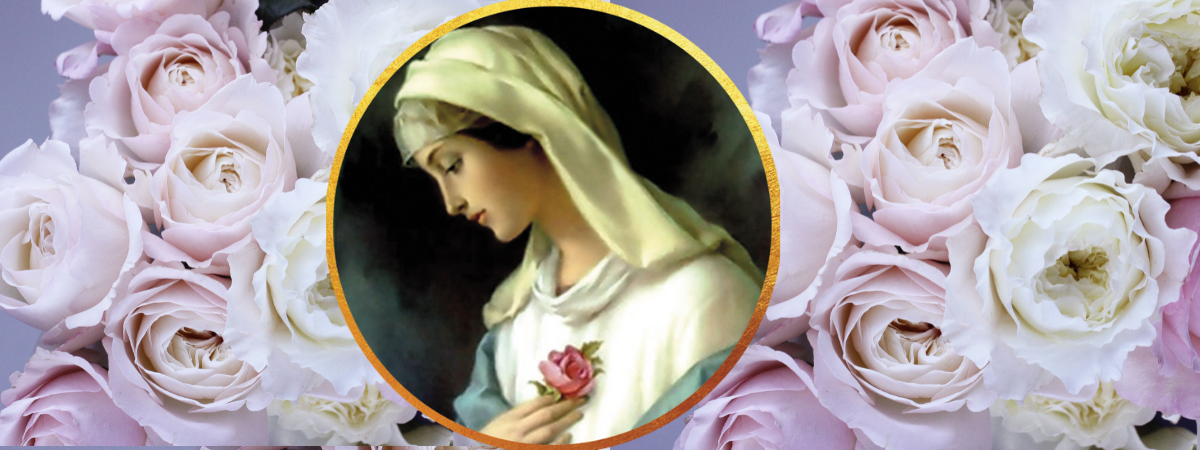 Our Lady Rosa Mystica: The Meaning of this Marian Title