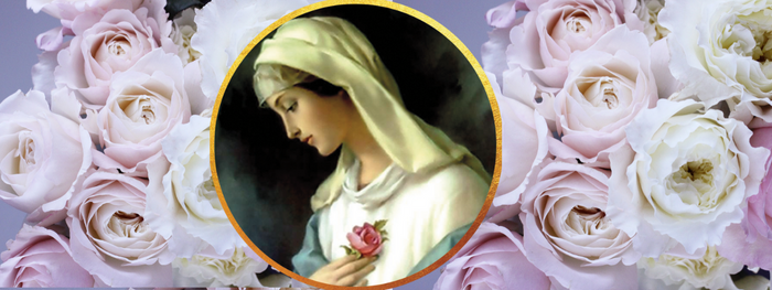 How Mary Became Known as Rosa Mystica | The Catholic Company®