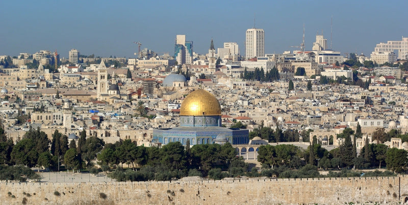 A Call to Prayer with Our Lady Queen of Palestine | The Catholic Company®