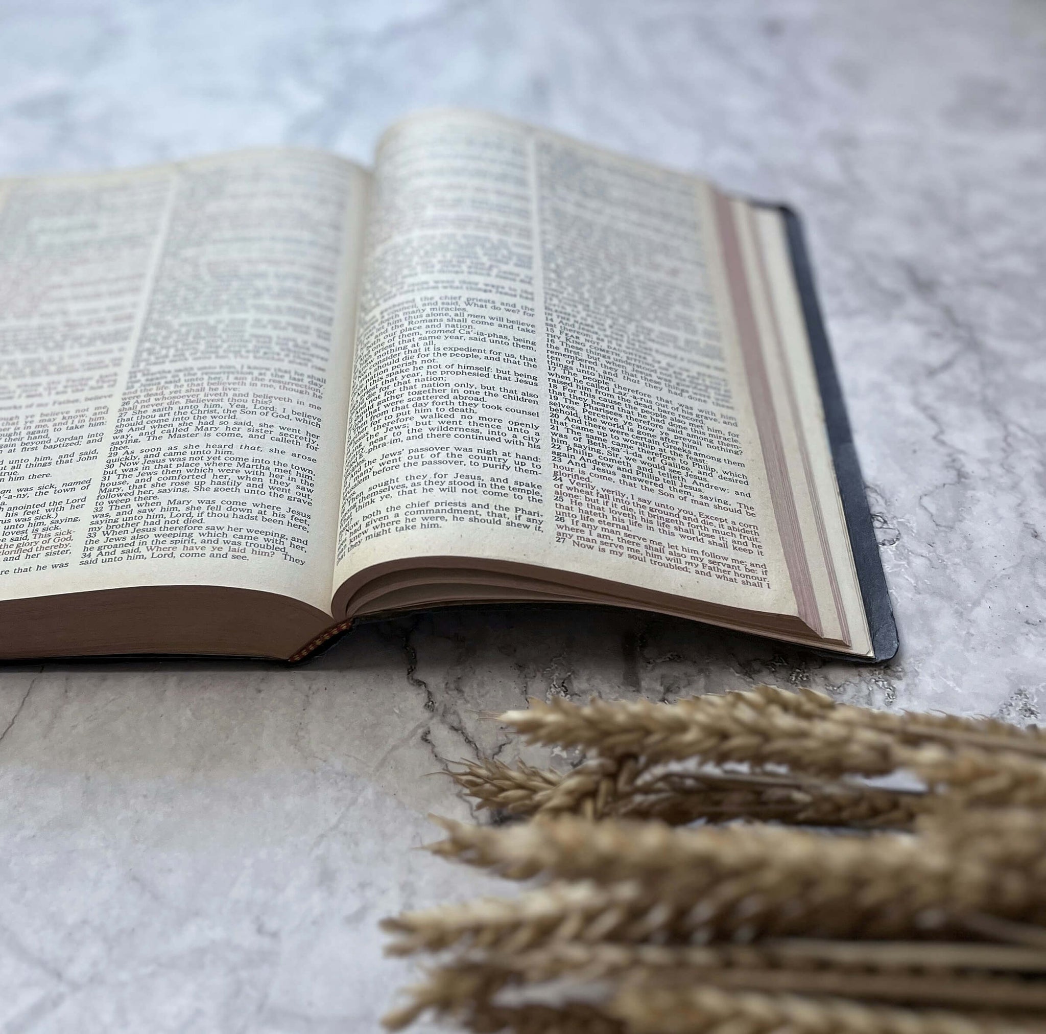 The saint whose fiery words led to exile... | The Catholic Company®