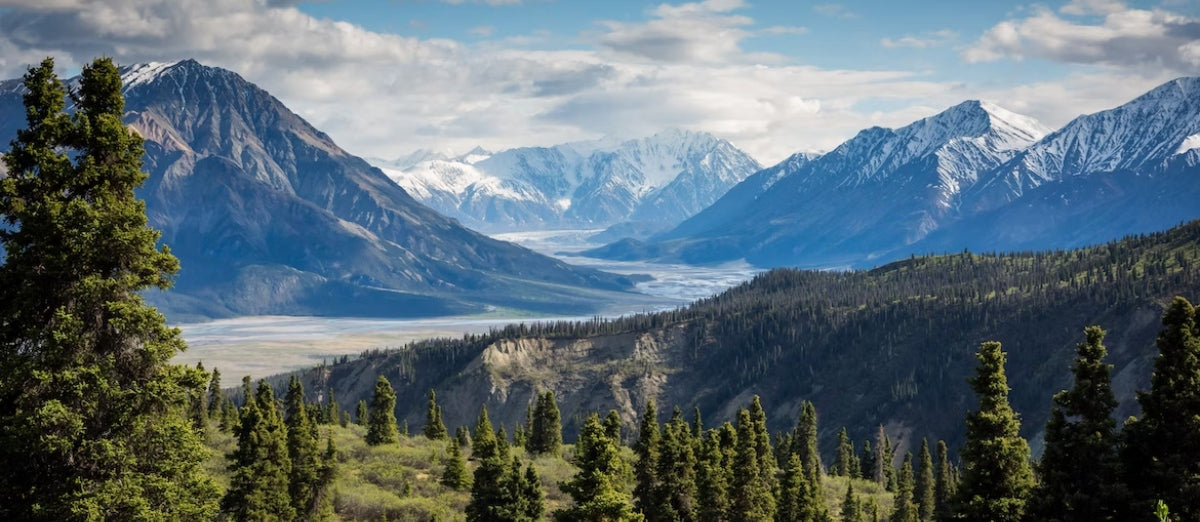 Discover 7 Important Mountains in the Bible & God's Presence