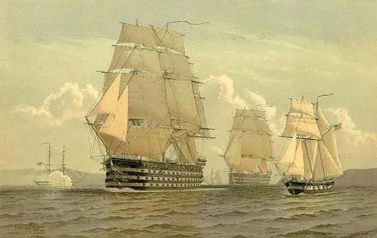 The saint you need to know: St. Peter Claver | The Catholic Company®