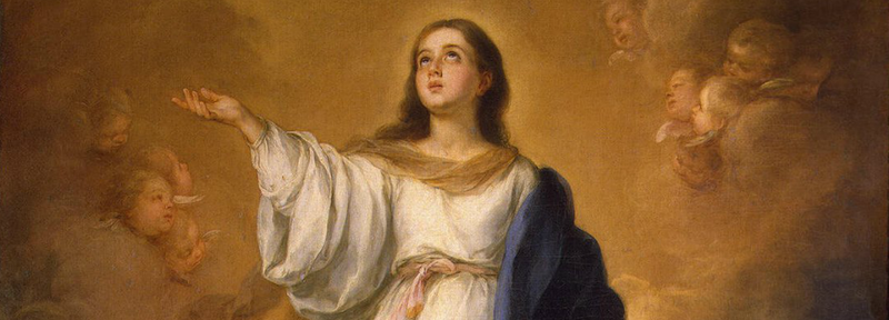 Virgin Mary: Names, Titles, and Feasts Explained | The Catholic Company®