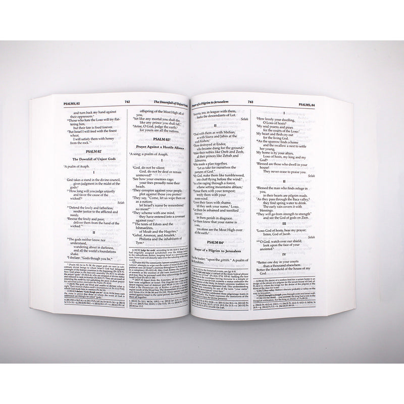 New American Bible - Revised Edition | The Catholic Company®