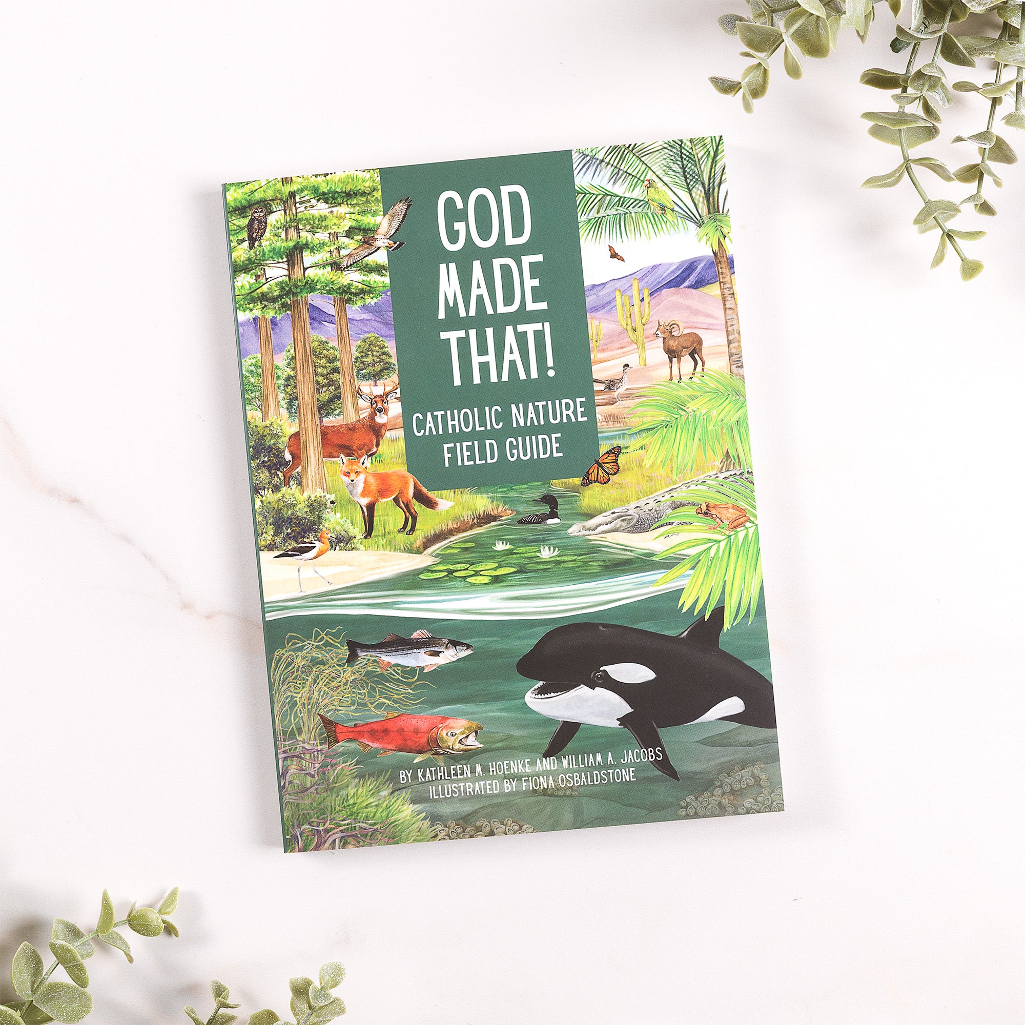 God Made That! Catholic Nature Field Guide | The Catholic Company®